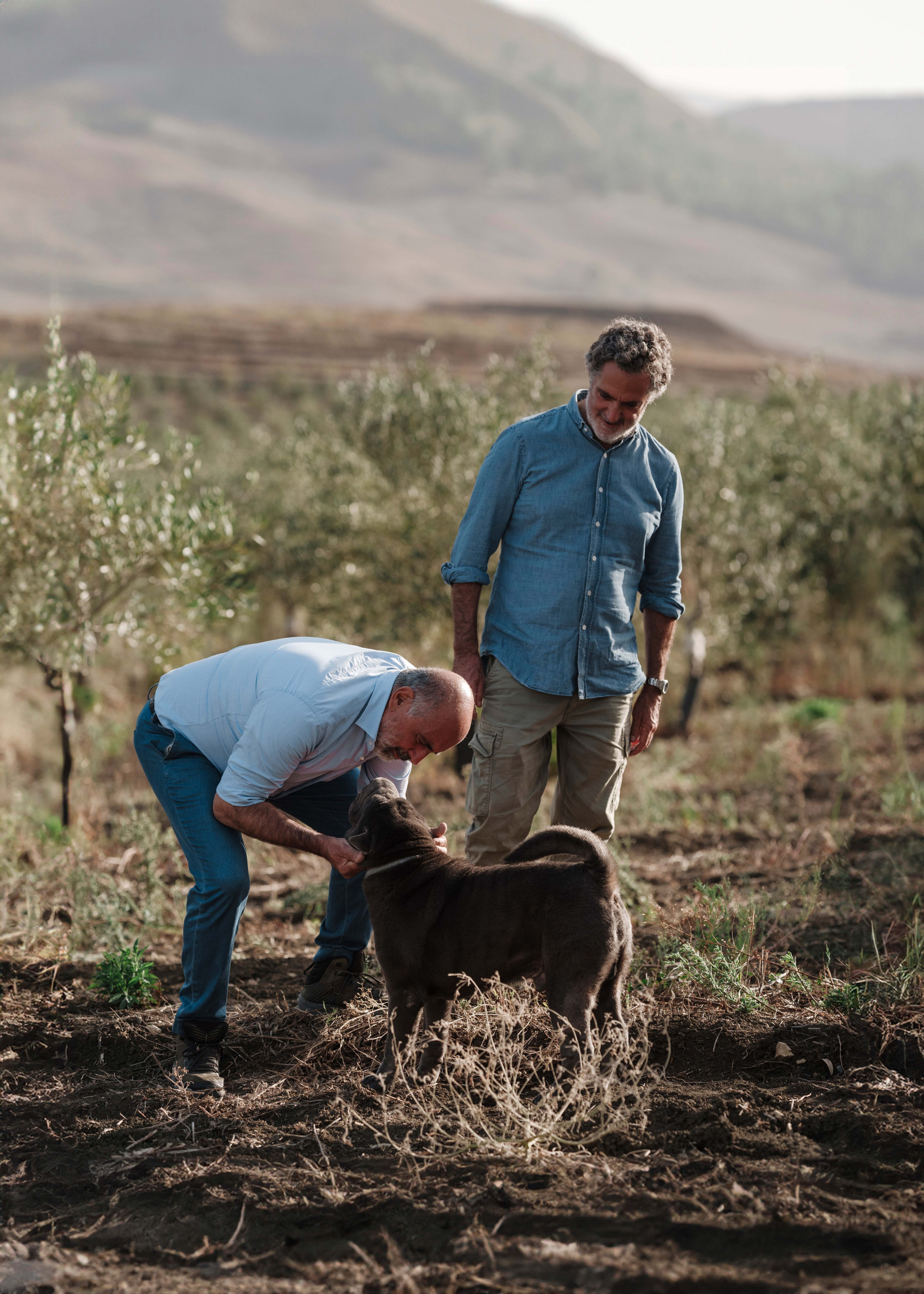 Miceli & Sensat - Un olio di oliva con oltre 150 anni di storia